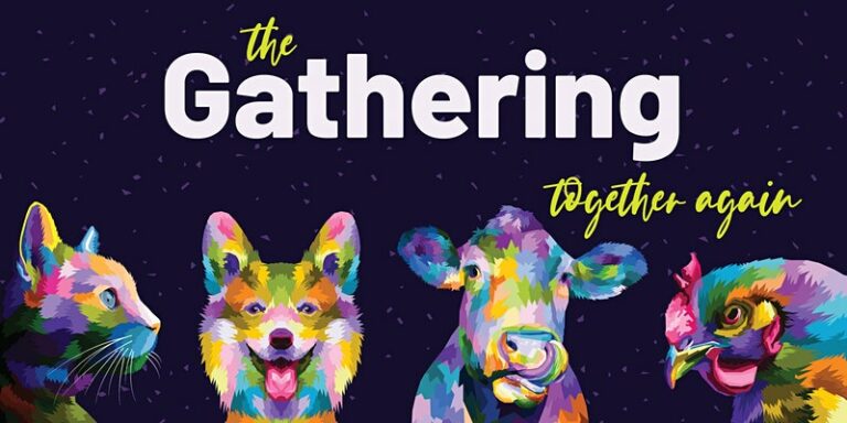 The Gathering @ VMX – Together Again! – Animalytix